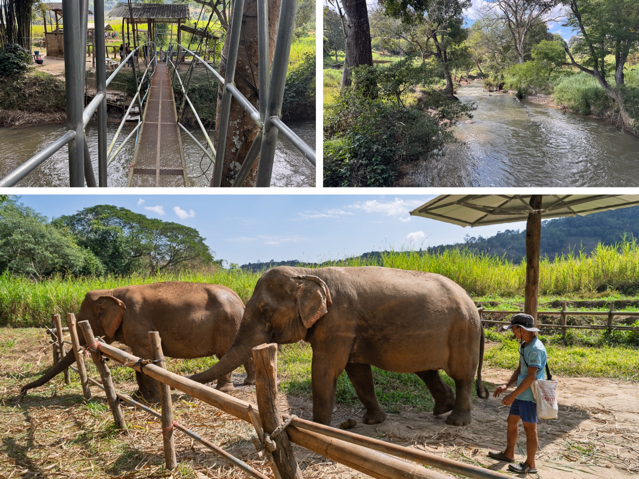 Johnnyboy Elephant Care - Boy vs Girl Slow Travel