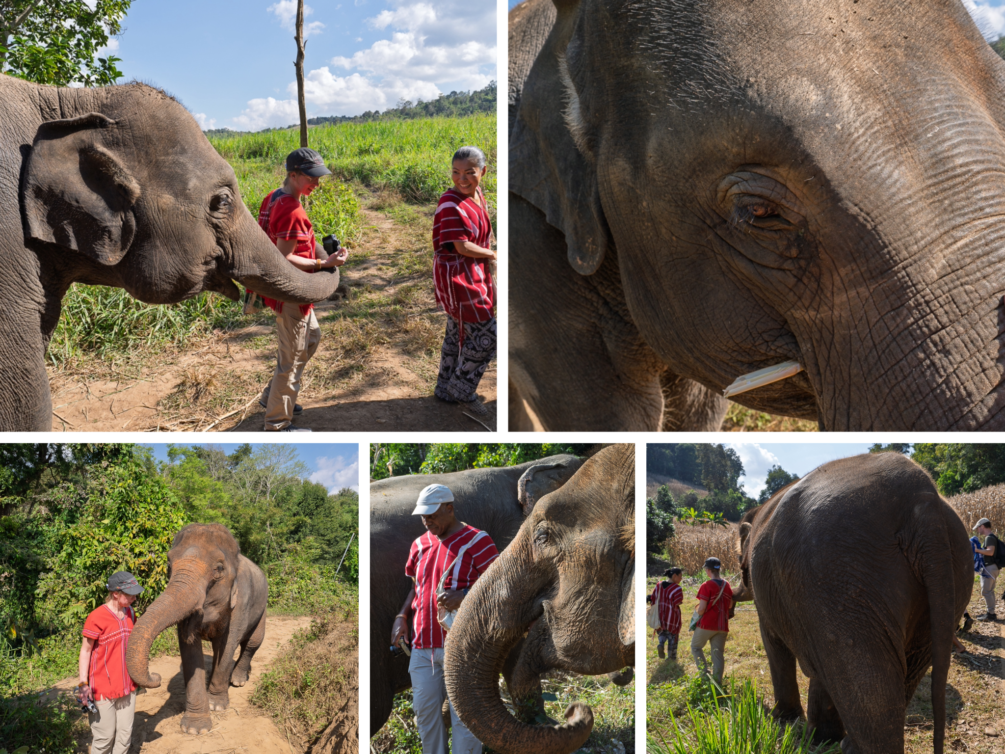 Johnnyboy Elephant Care - Boy vs Girl Slow Travel